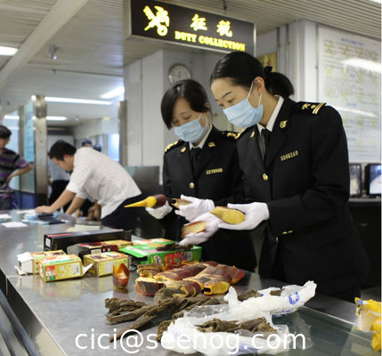 China customs house broker customs clearance inspection logistics freight forwarder tax air/sea/truck shipping service
