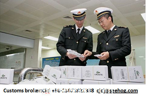 China Qingdao customs clearance service importing warehouse frieght logisitic service