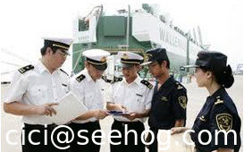 Frieght shipping import equipment to China Qingdao customs clearance warehouse frieght logisitic service