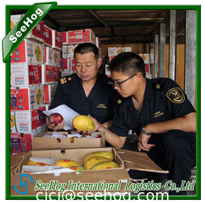 Qingdao customs clearance company for importing beers door to door shipping service