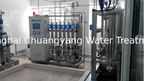 3Q Approved UV Sterilizer EDI RO Purified Water Equipment Price for pharmacy