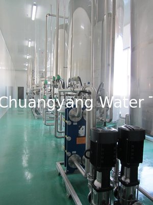 Full BPE Material Double RO EDI Purified Water System for Pharmaceutical