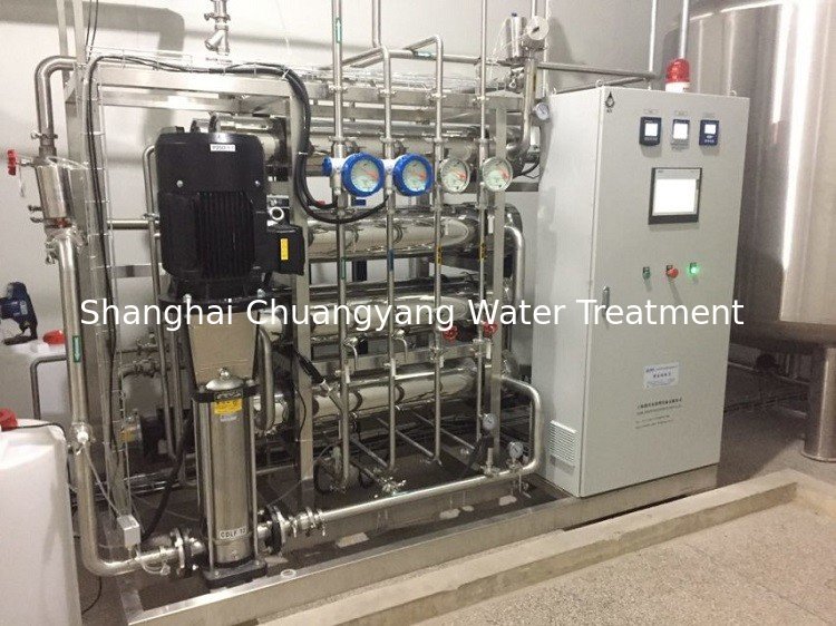 FDA Standard Pharmaceutical Purified Water Treatment 2 Stages Reverse Osmosis System