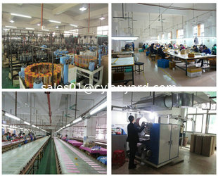 Dongguan ChengYi Lanyard Co., Ltd