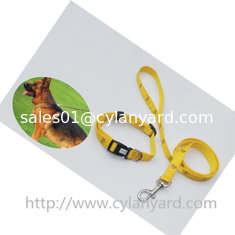 China Luxurious outdoor dog collar and dog lead set, satin polyester webbing, 1" x 6ft,1" x 4ft, supplier
