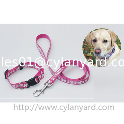 Stylish full color print polyester webbing dog collar and lead set heavy duty clasp hook, supplier