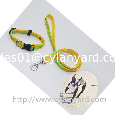 Sell dog collars and dog leads, China factory sells 4 to 6 feet polyester webbing dog lead supplier