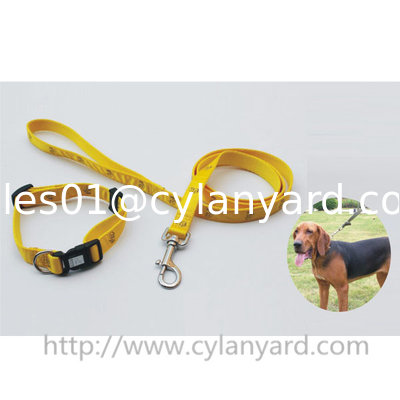 Luxurious outdoor dog collar and dog lead set, satin polyester webbing, 1" x 6ft,1" x 4ft, supplier