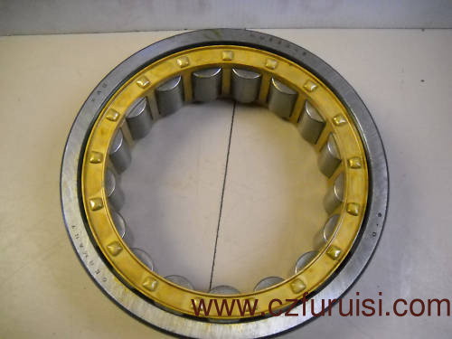 N NU NJ NF NUP NCF NJG SL E series Cylindrical Roller Bearing