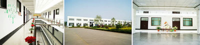 chizhou flydragon machinery trading co., ltd