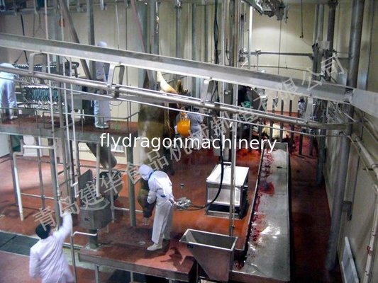 Cattle slaughter line equipment and deboning equipment division