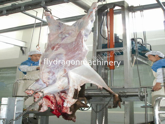 Cattle slaughter line equipment and deboning equipment division