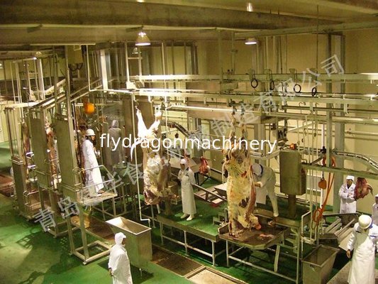 Cattle slaughter line equipment and deboning equipment division