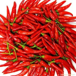 ChinaVegetable Processing MachineCompany