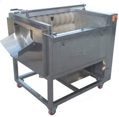 China Small Potato Washing & Peeling Machine supplier