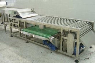 China Full automatic food grader machine supplier