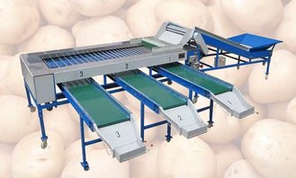 China Automatic Rolling Rod Type Potato Grader Machine supplier