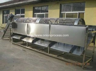 China Automatic Onion Water Washing and Grader Line supplier