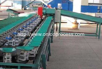 China Automatic Onion Water Washing and Grader Line supplier