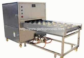 China Automatic Garlic Peeling Machine for Sale supplier