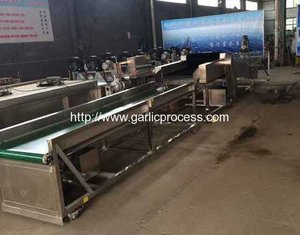 China Garlic Dry Cleaning Machine supplier