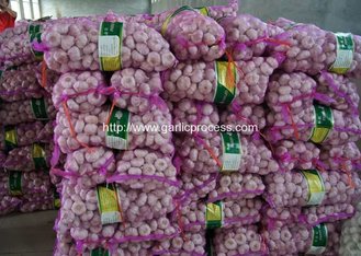 China Garlic Dosing Mesh Bag Packing Machine supplier