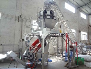 China Full Automatic Onion Mesh Bag Packing Machine supplier