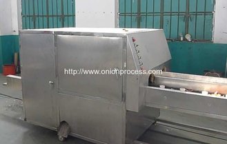 China Double Belt Onion Root Cutting Machine Manufacture supplier