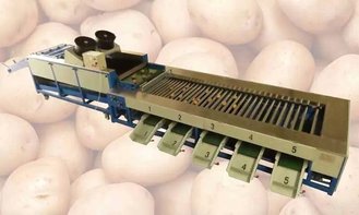 China Integrated Type Automatic Potato Cleaning and Grader Line supplier