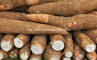 China Automatic Cassava Flour Production Line for Sale supplier