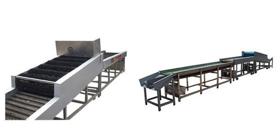Full Automatic Potato Dry Cleaning & Grader Machine supplier