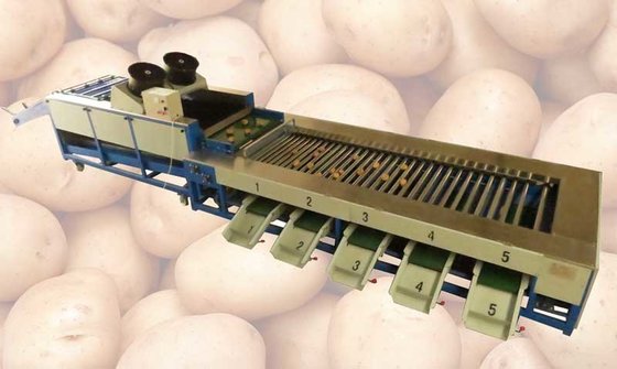 Integrated Type Automatic Potato Cleaning and Grader Line supplier