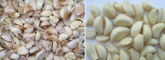 Automatic Garlic Peeling Machine for Sale supplier