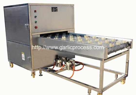 Automatic Garlic Peeling Machine for Sale supplier
