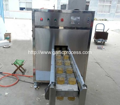 Automatic Garlic Peeling Machine for Sale supplier
