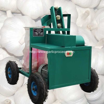 Automatic Discharging Fresh Garlic Root and Leaf Cutting Machine supplier