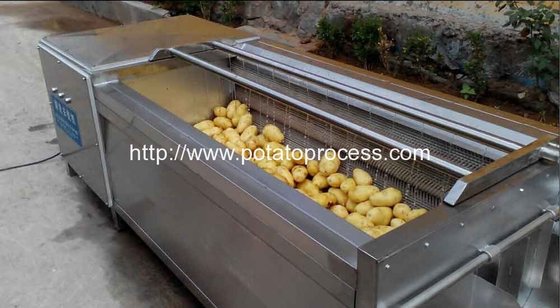 Brush Roller Type Potato Washing Peeling Machine supplier