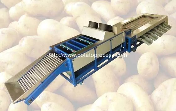 Integrated Type Automatic Potato Cleaning and Grader Line supplier