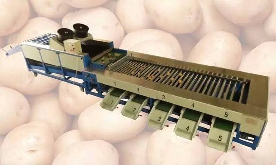 Integrated Type Automatic Potato Cleaning and Grader Line supplier