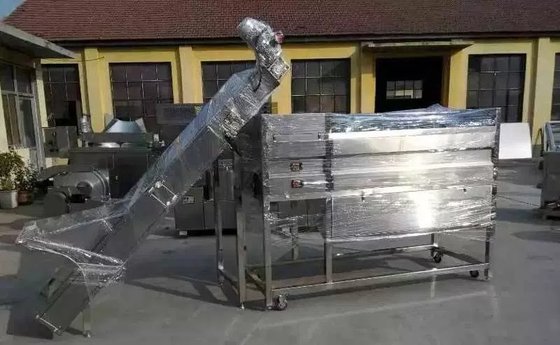 Screw Feeding Type Potato Washing Peeling Machine supplier