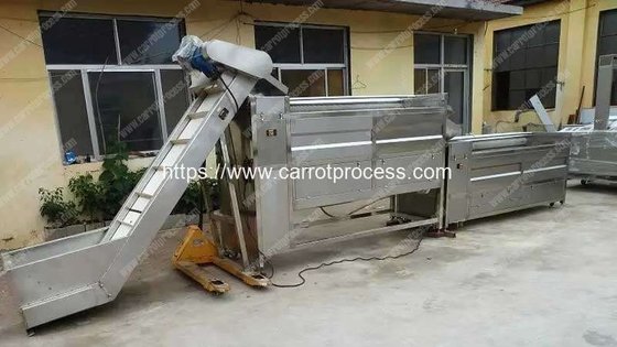 Large Capacity Carrot Washing Machine