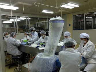 China Mascara exporter