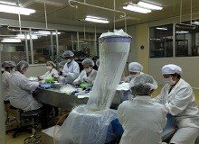 China Lip Exfoliator exporter