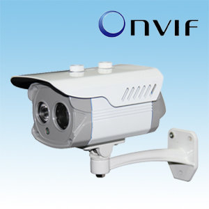 H.264 Waterproof Megapixel IP Camera with a LED Array 20m IR Range for Outdoor Use supplier