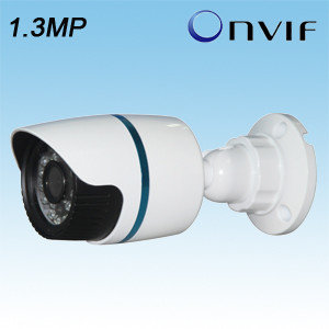 1.3MP Mini IP Camera supplier