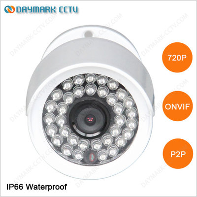 Motion Detective P2P Mini Bullet Network Security Cam supplier