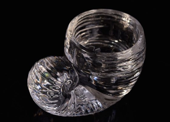 Ox Horn Unique Candle Holders Glass Home Decoration For Promotional