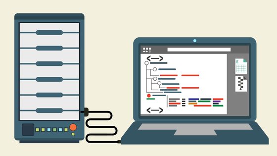 China Certified Dedicated Server Hosting , Virtual Private Server Hosting Unique IP supplier