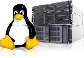 China Premium Server Hosting Services Free Unique IP Address Reliable High Security supplier