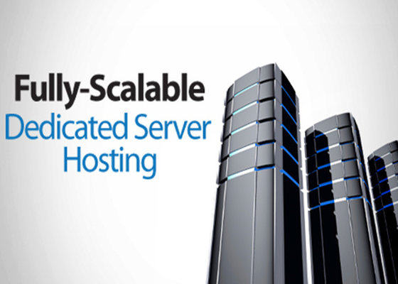 China Europe / Middle East Server Hosting Services , Managed Server Hosting Fully Customizable supplier